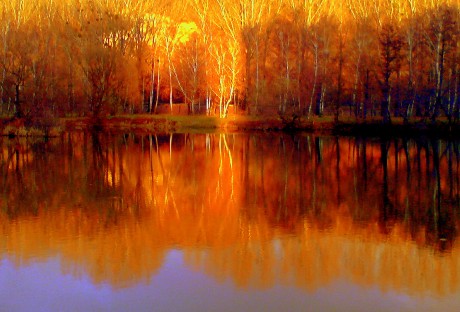 FOTO ALEXEJ LEŠNÍK, SLOVAKIA - Fotoalbum - KRAJINA - jeseň - jeseň.JPG